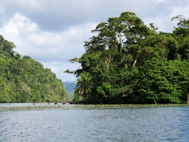 Wildes Guatemala (13/15) – Biotop Chocon Machacas – Rio Dulce: ein ...