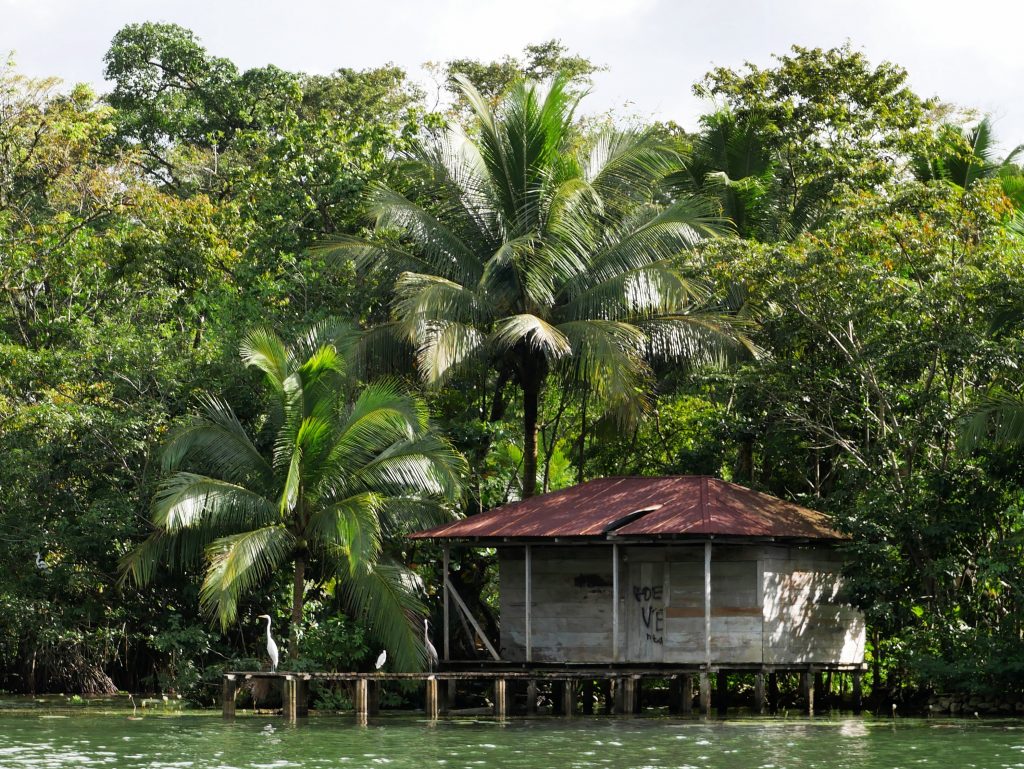 Wildes Guatemala (13/15) – Biotop Chocon Machacas – Rio Dulce: ein ...